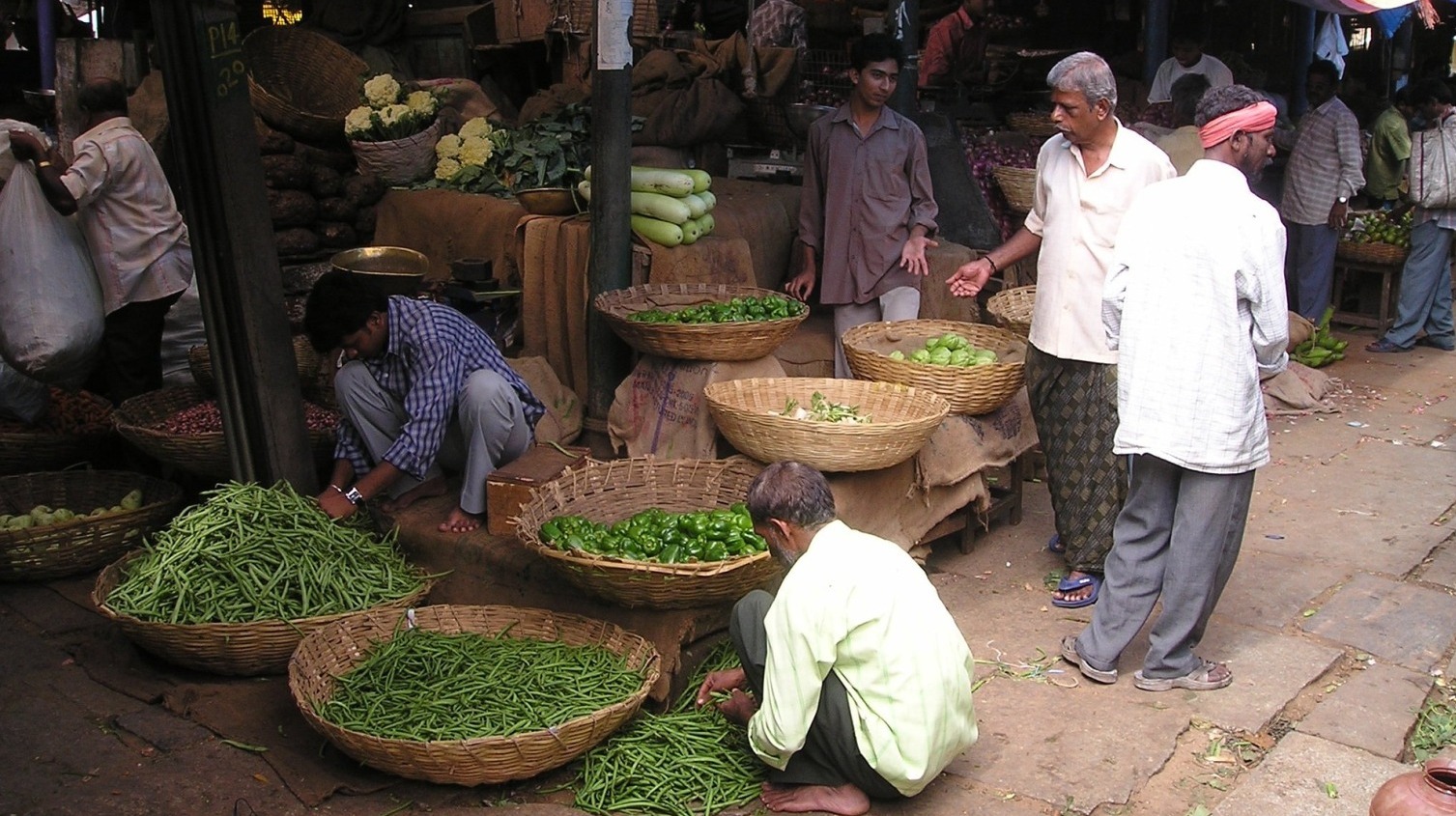 Mano ūkis - Indijos teismas sustabdė ginčijamus žemės ūkio įstatymus